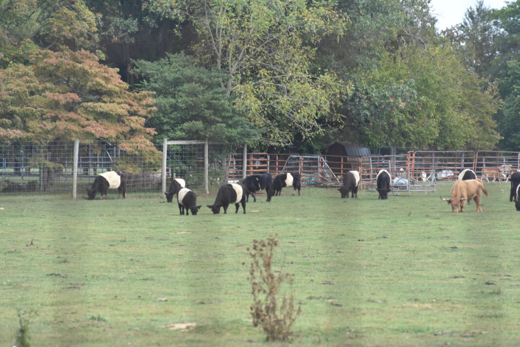 'Your voices were heard'